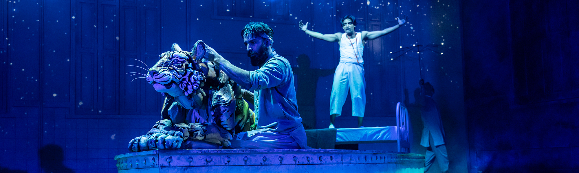 Life of Pi banner - NETworks